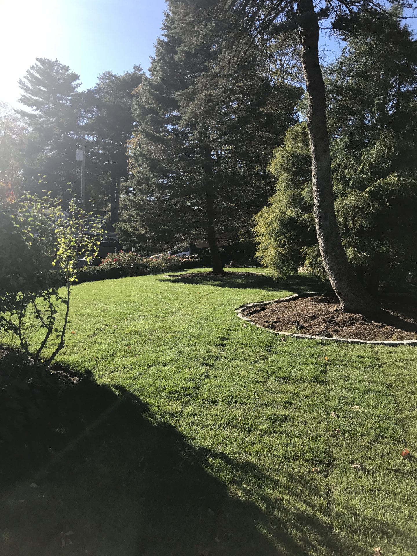 Gallery - JR's Landscaping